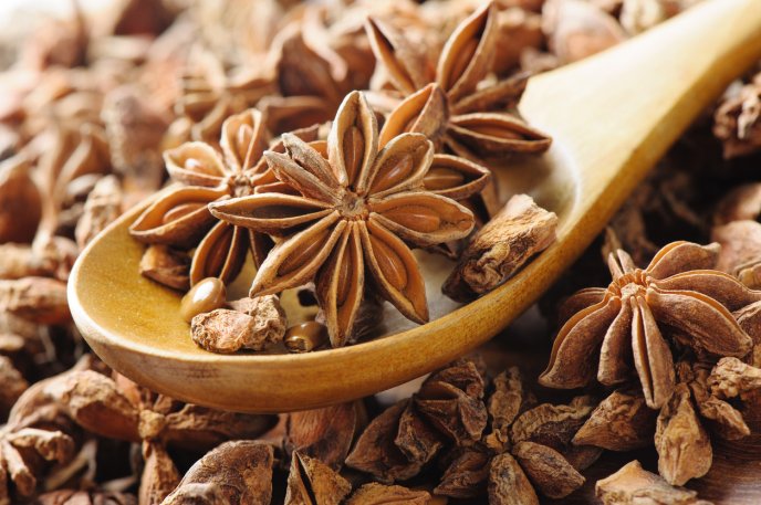 Aniz estrellado y sus usos digestivos - Saludable